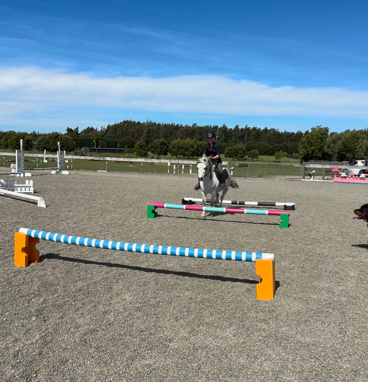 Pole Raisers – Clip Clop Equestrian Shop