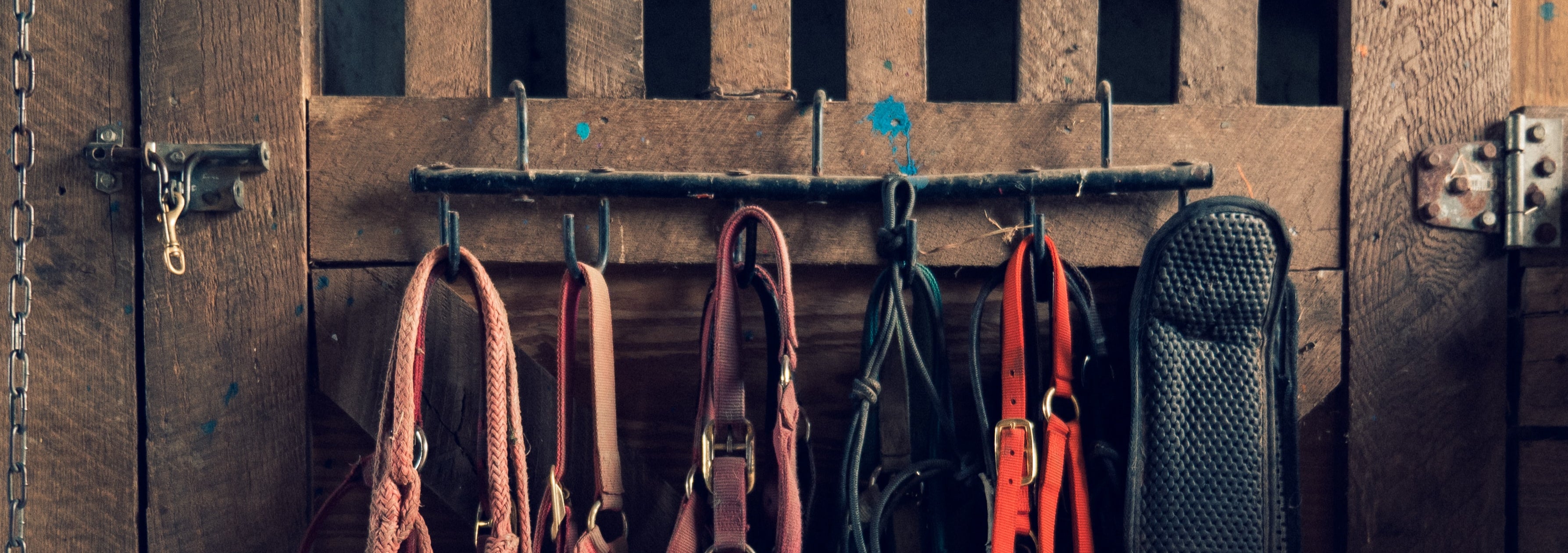 Halters & Leads – Clip Clop Equestrian Shop