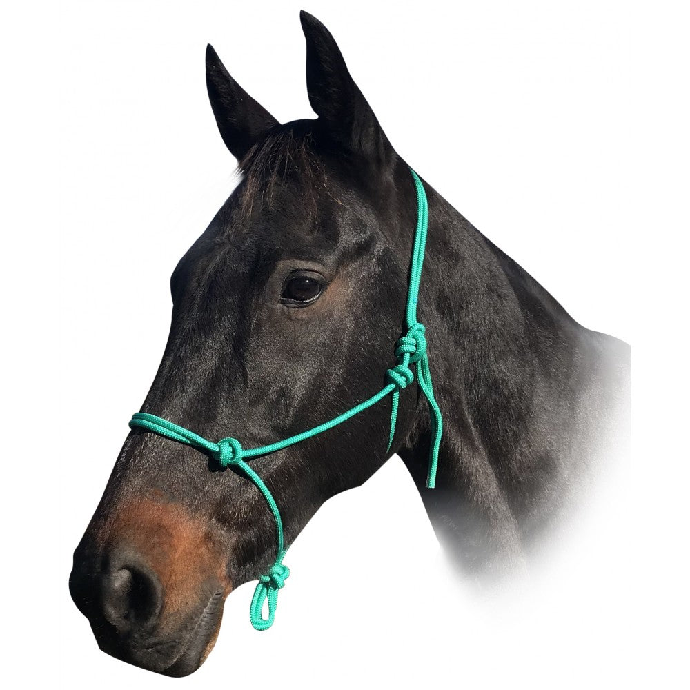 Rope Halter – Clip Clop Equestrian Shop