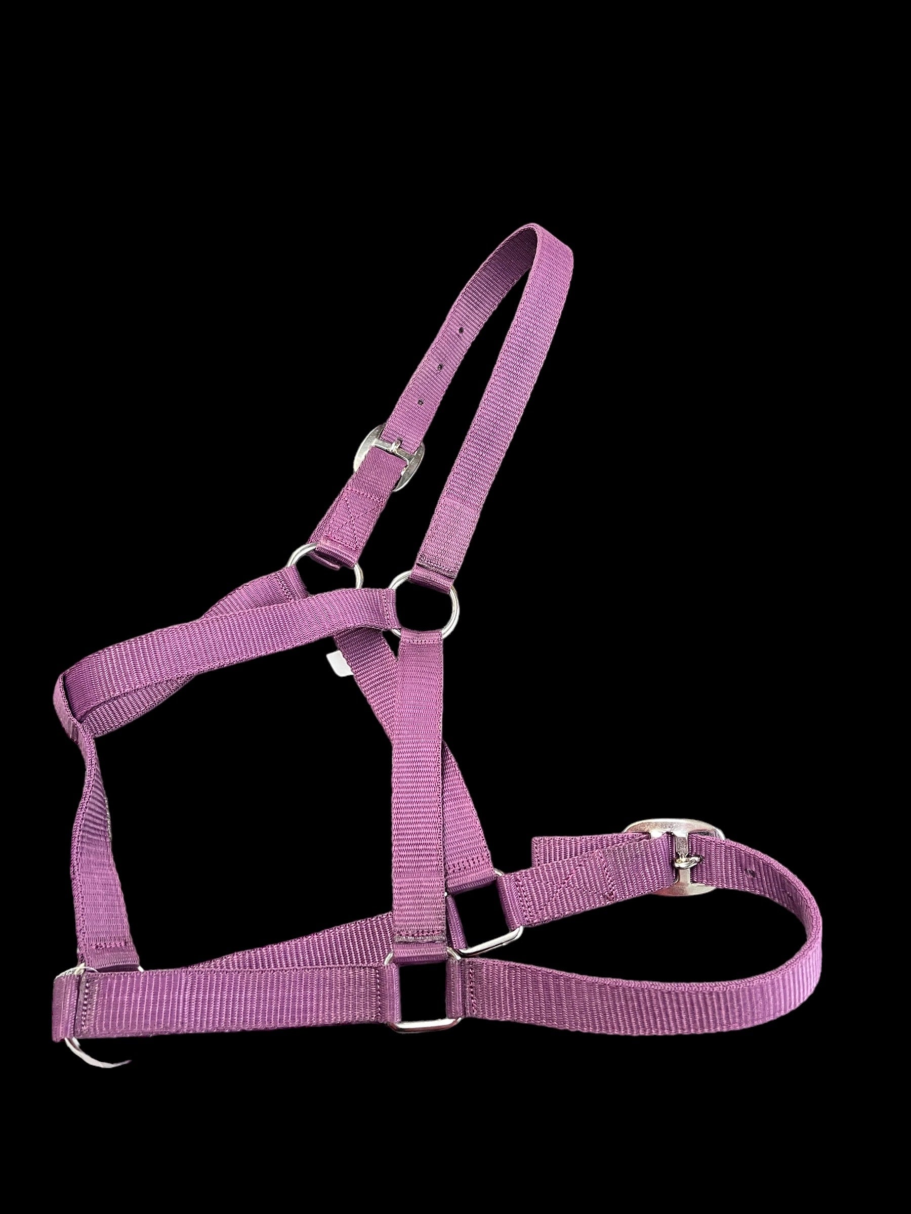 Plum halter – Clip Clop Equestrian Shop